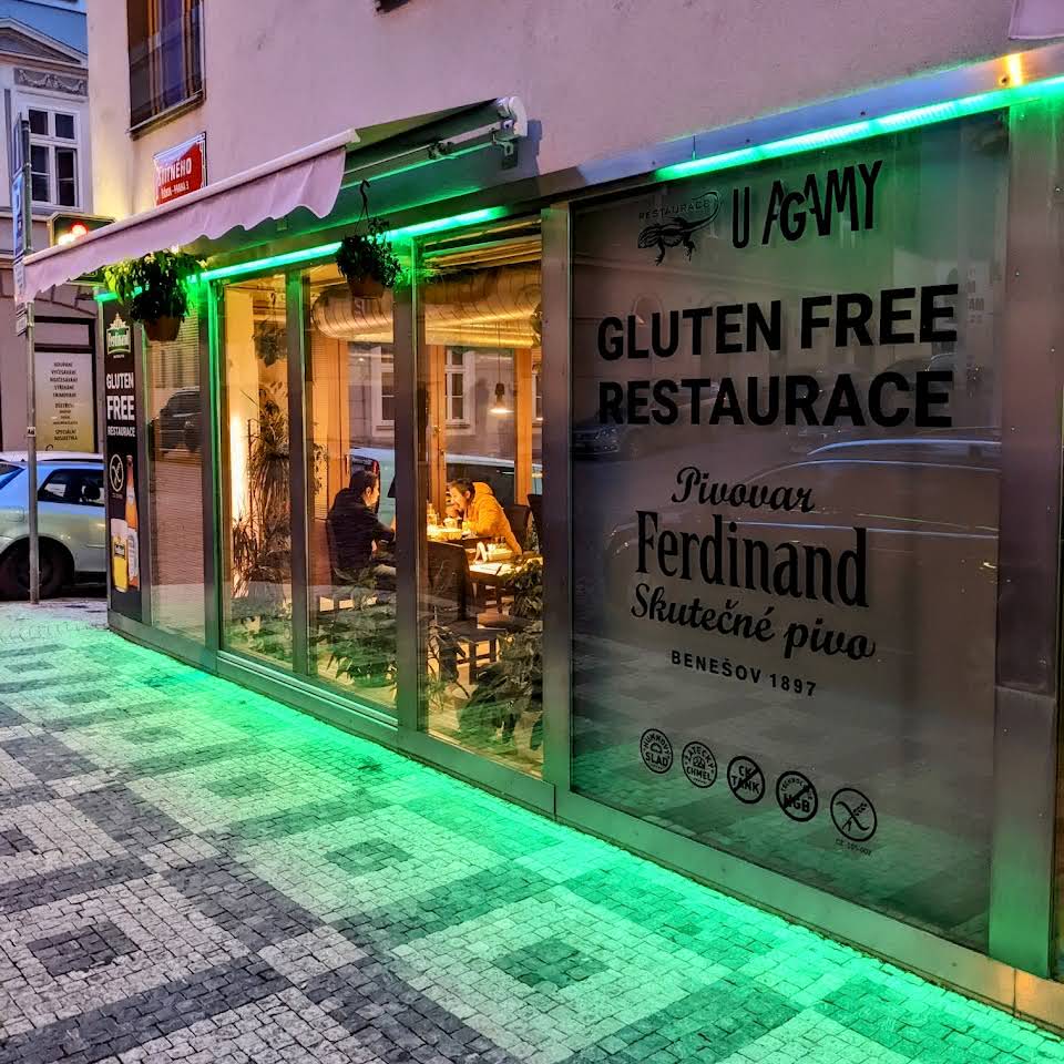 Restaurace U Agamy - Praha 3-Žižkov, Štítného - Mňambezlepku.cz